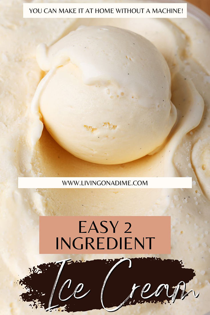 12 Easy 2 Ingredient Ice Cream Recipes You Will Love