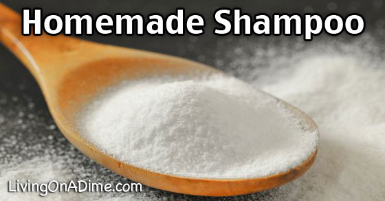 Homemade Shampoo Recipe - Living On A Dime