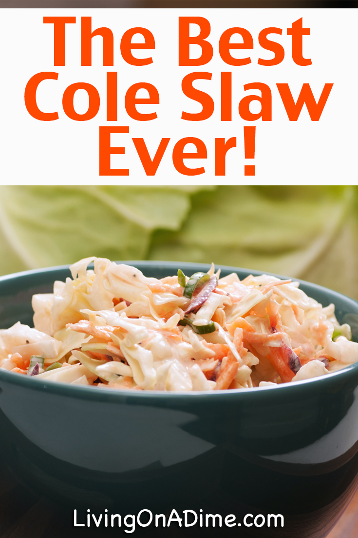 The BEST Cole Slaw Recipe Ever! - Living On A Dime
