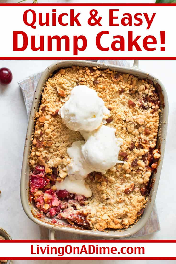 Easy Dump Cake Recipe With Tasty Variations! - Living On A Dime