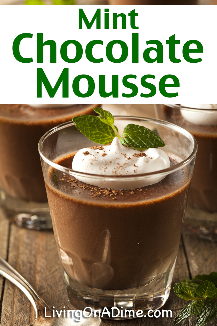 Mint Chocolate Mousse Recipe - Living On A Dime