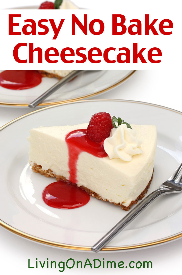 20 Easy No Bake Cookies Desserts And Snacks Recipes