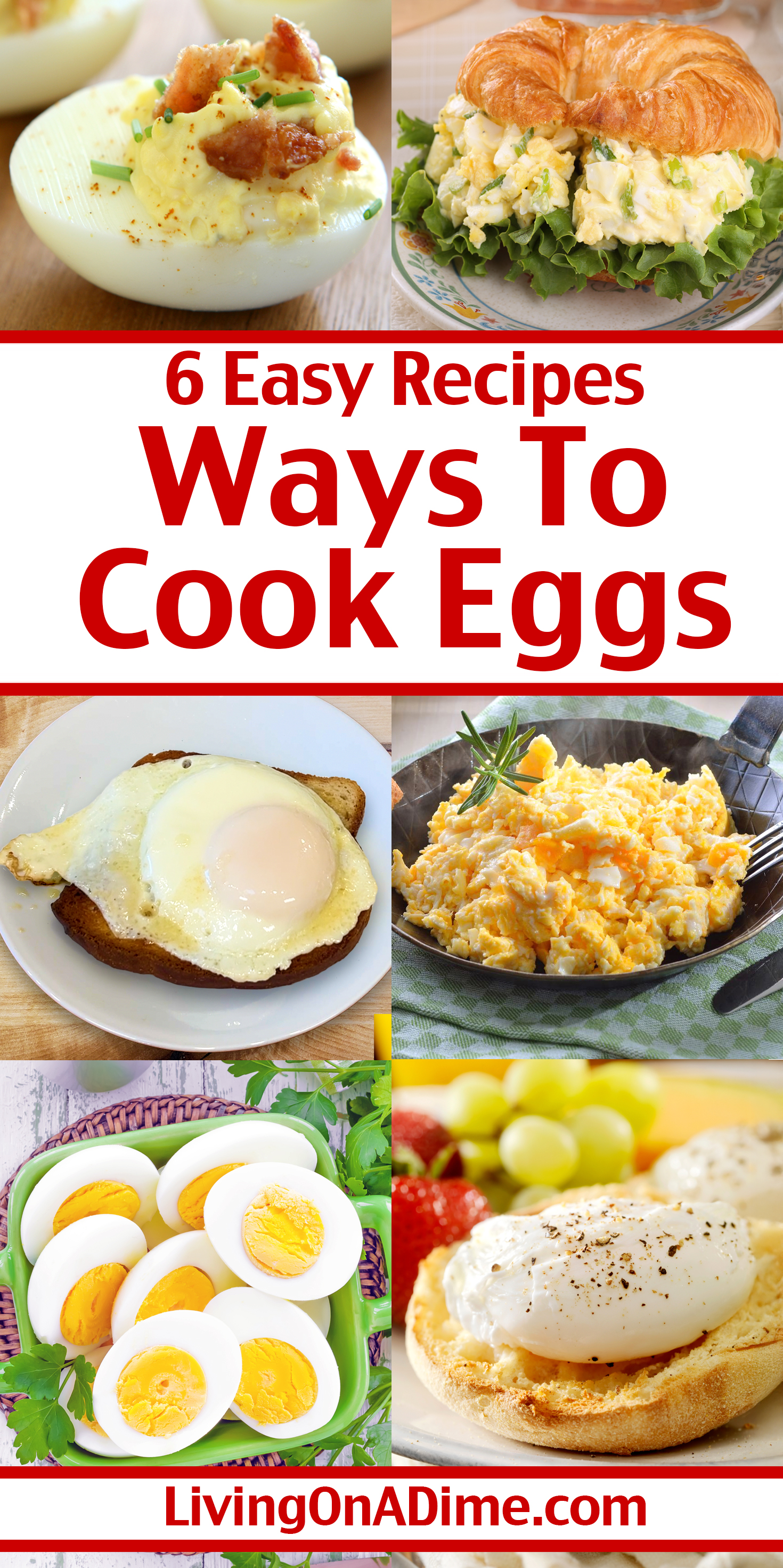 6 Easy Ways To Cook Eggs You’ll Love! Perfect For Beginners! - Living ...