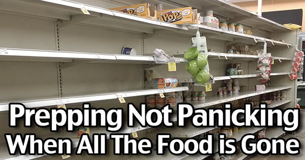 Prepping in Panic! 2 Weeks- $110 - 4 People! What To Buy When All The ...