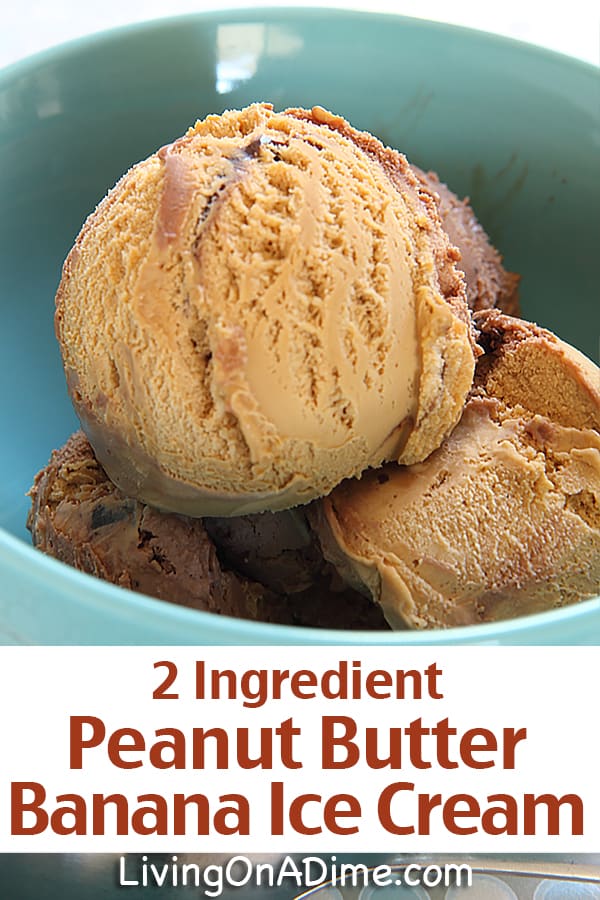 12 Easy 2 Ingredient Ice Cream Recipes You Will Love!